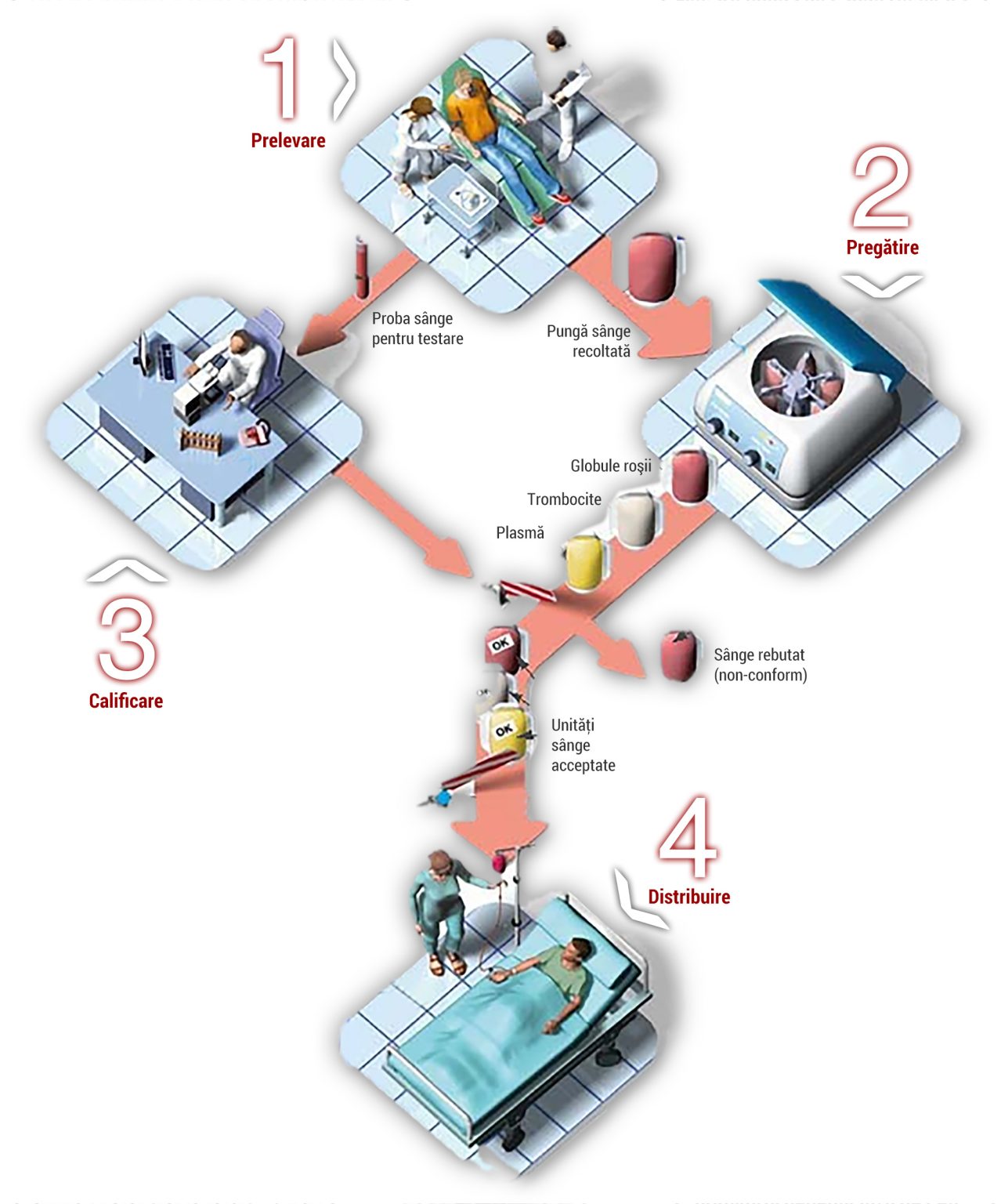 CTS Arges – Centrul de Transfuzie Sanguină